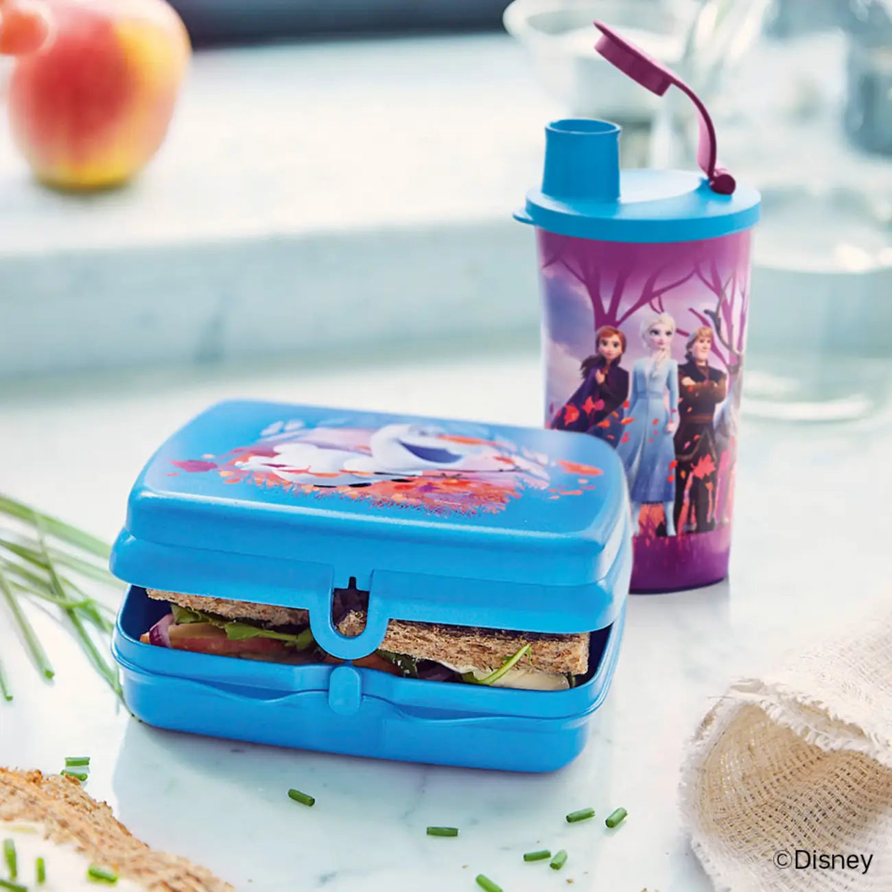 Sandwich-Box Olaf – Perfekte Größe für das Schulbrot, nachhaltig ...